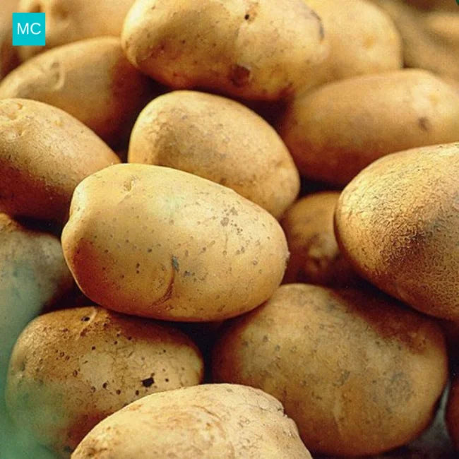 Record Seed Potatoes | Main Crop Potatoes | Seeds Ireland