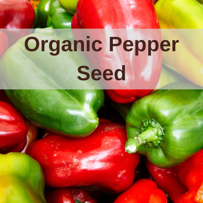 Organic Pepper Seed | Seeds Ireland | Chilli & Bell