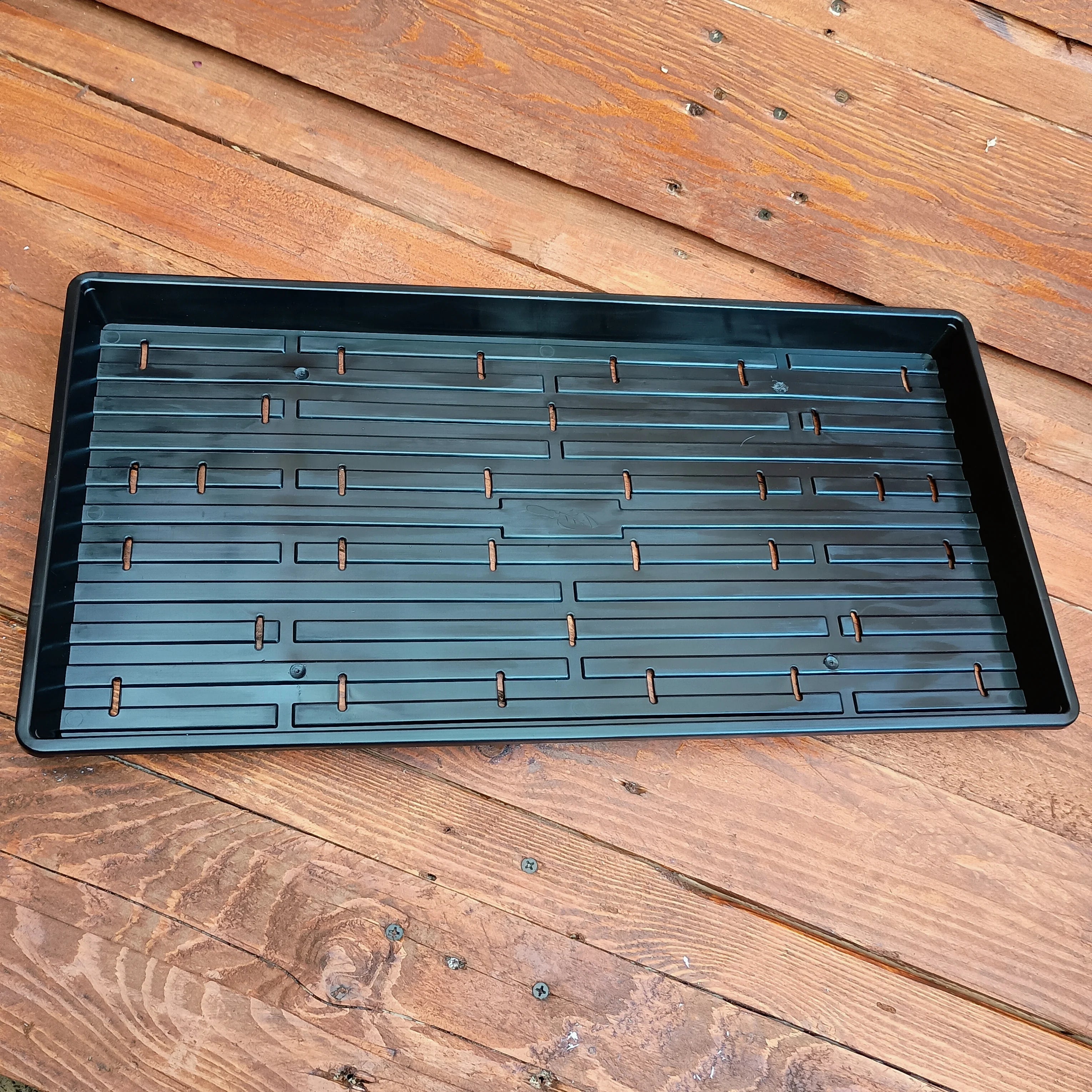 1020 Bootstrap Farmer Shallow Microgreen Or Seedling Trays With Holes ...
