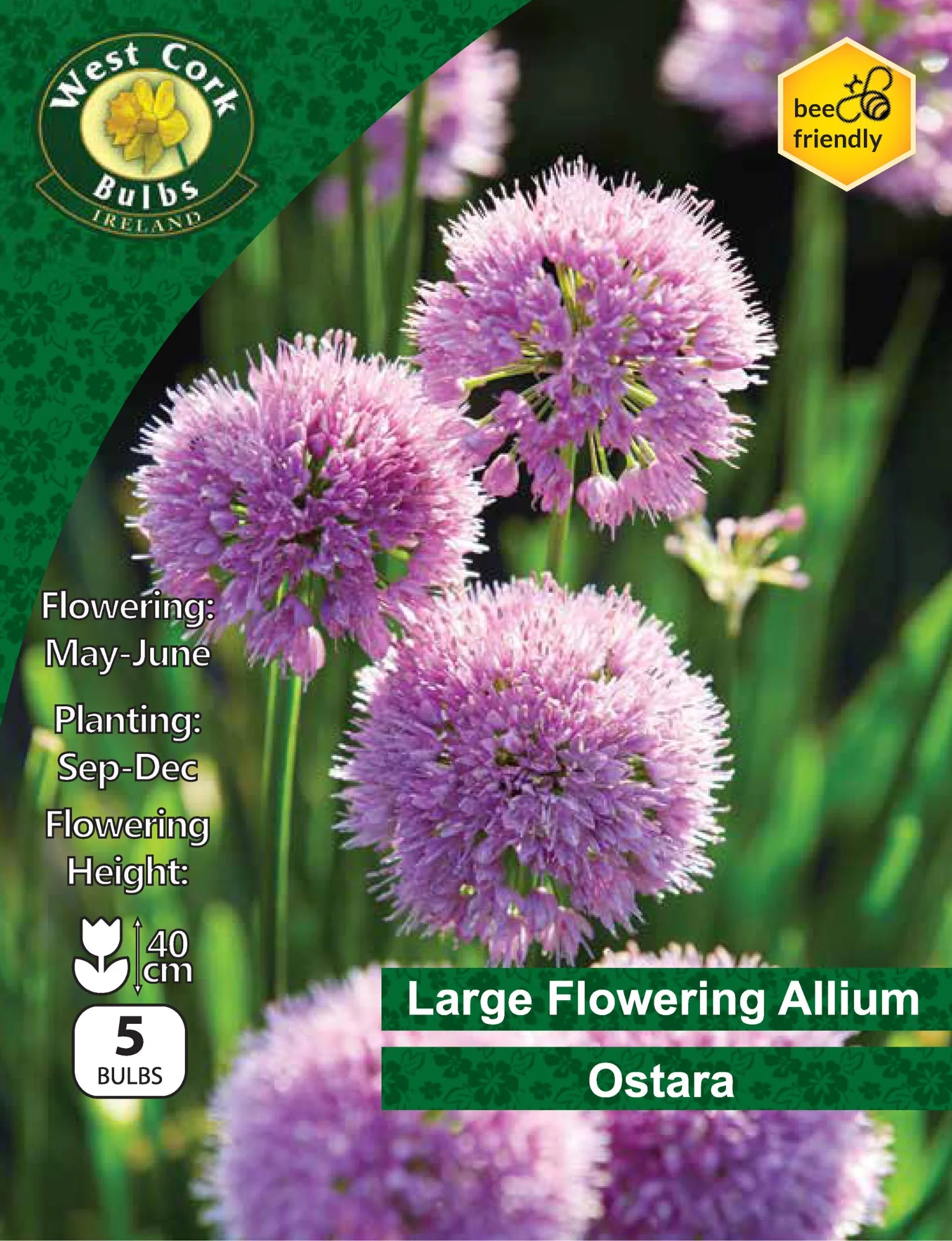 Ostara Allium Bulbs Ireland | Pink Flowering | Bee Friendly – Seeds Ireland