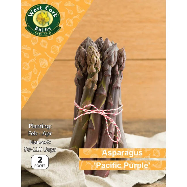 Asparagus Roots | Pacific Purple | Spring Planting | Seeds Ireland