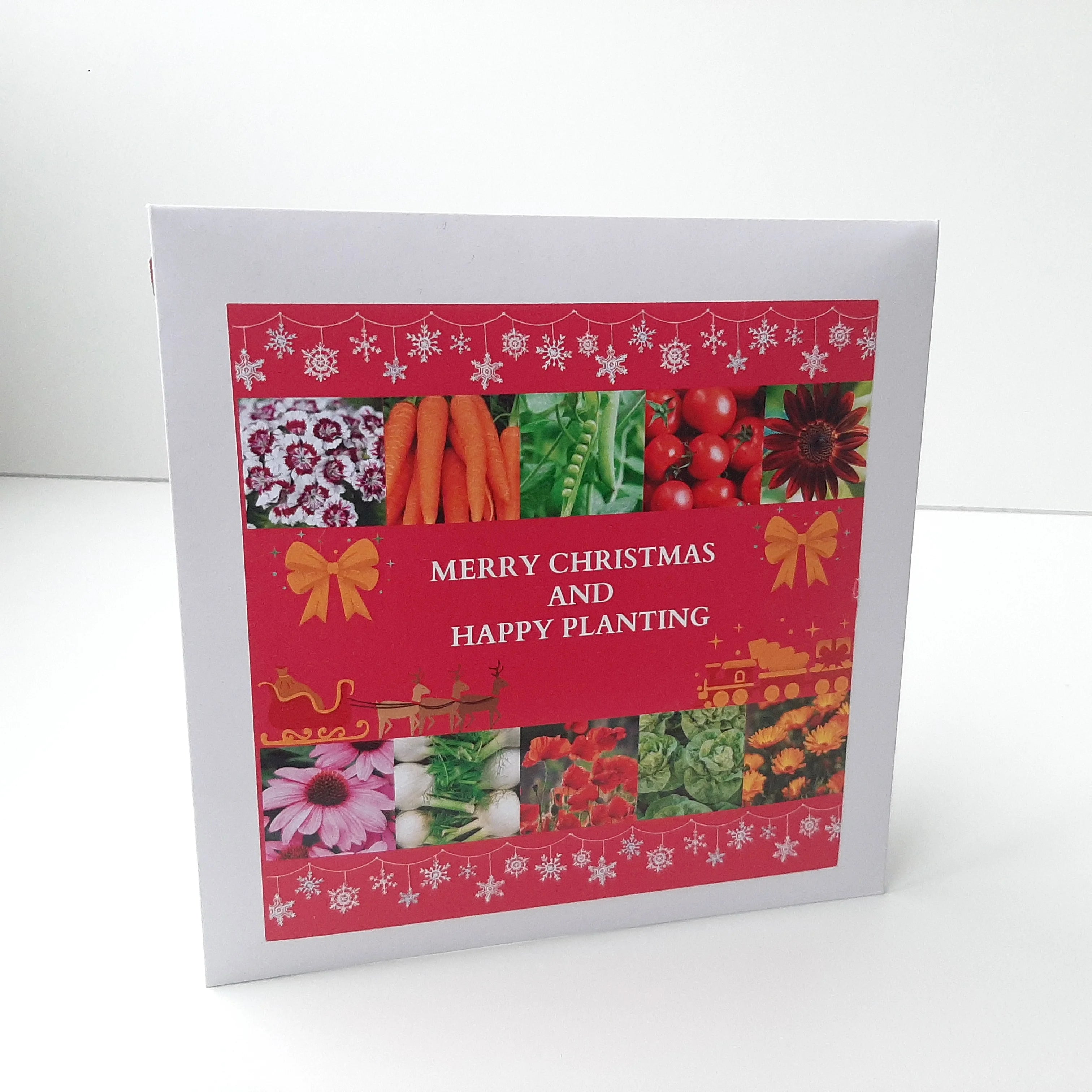Christmas Gift For Gardeners | Flower Seeds Gift Pack | Xmas Present ...