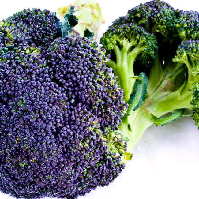 Organic Purple Sprouting Broccoli Seed Ireland | Vegetable Garden Seed ...