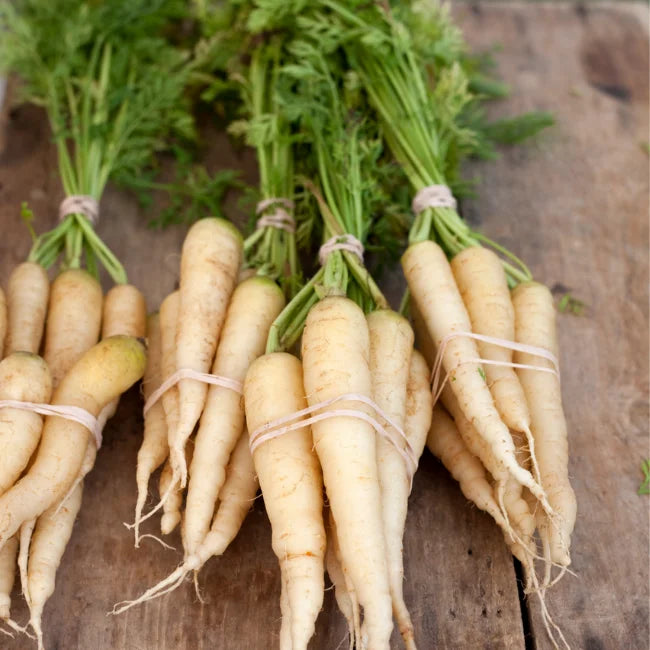 Maruschka White Carrot Seeds Ireland | Organic Vegetable Garden Seed