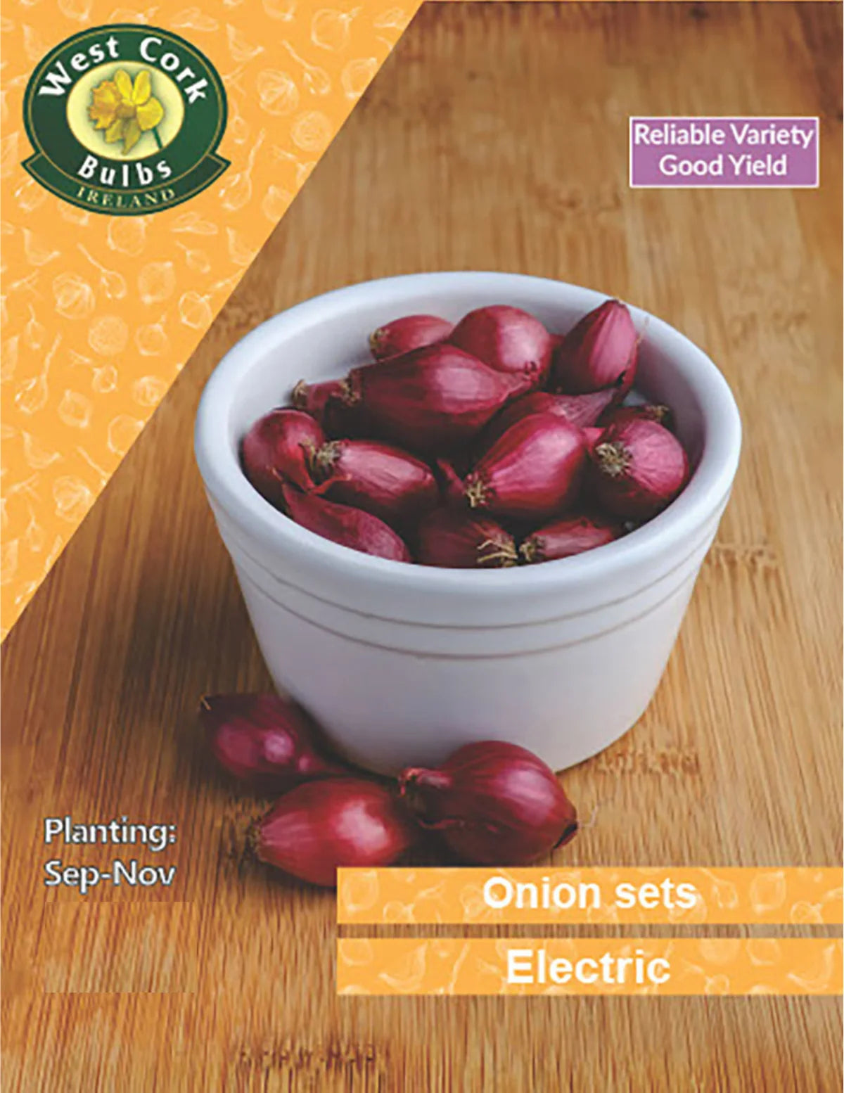 Electric Red Onion Sets Ireland | Autumn Planting Onion Starts – Seeds ...