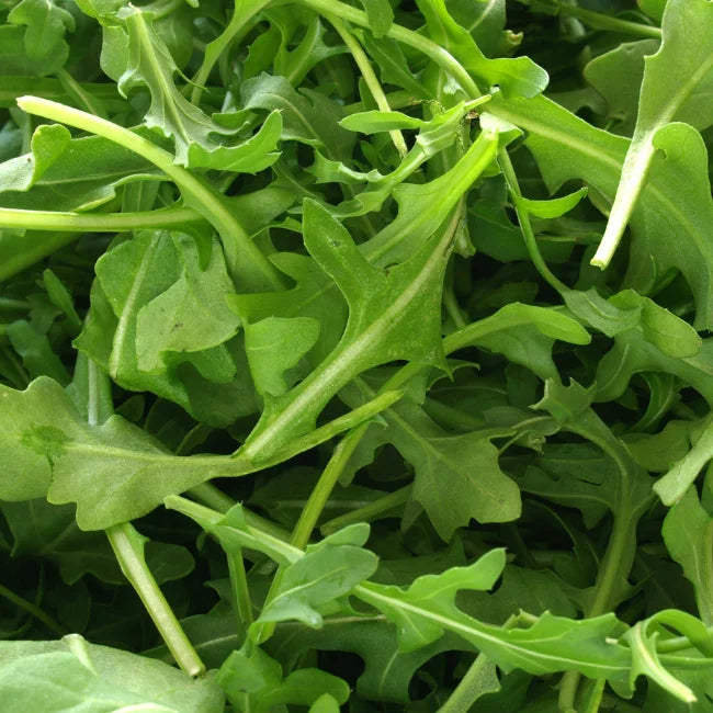 Wild Rocket Seeds Ireland | Organic Vegetable Seed