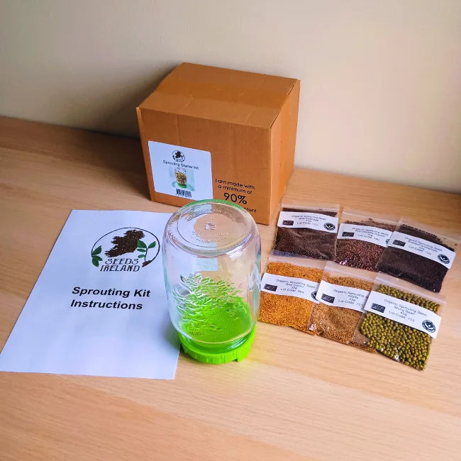 Sprouting Kit For Beginners | Sprouting Starter Kit | Seeds Ireland